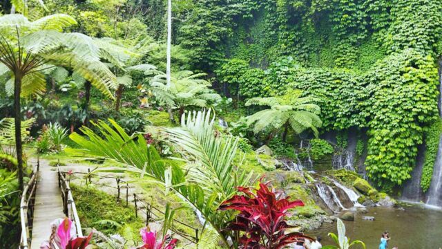 Banyumala Waterfall Top Activities & Entrance Fee