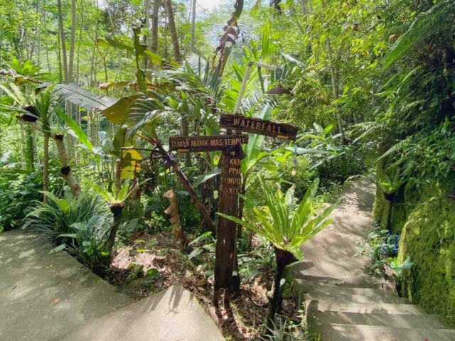 Goa Rang Reng Waterfall, Bali & Top Things To Do