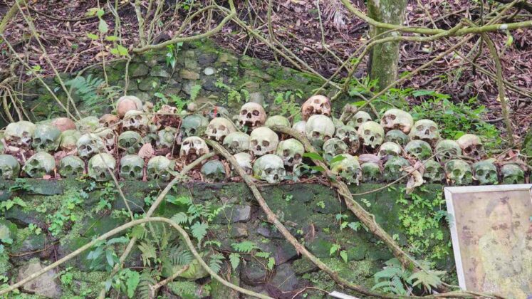 Trunyan Cemetery, Kintamani A Complete Guide